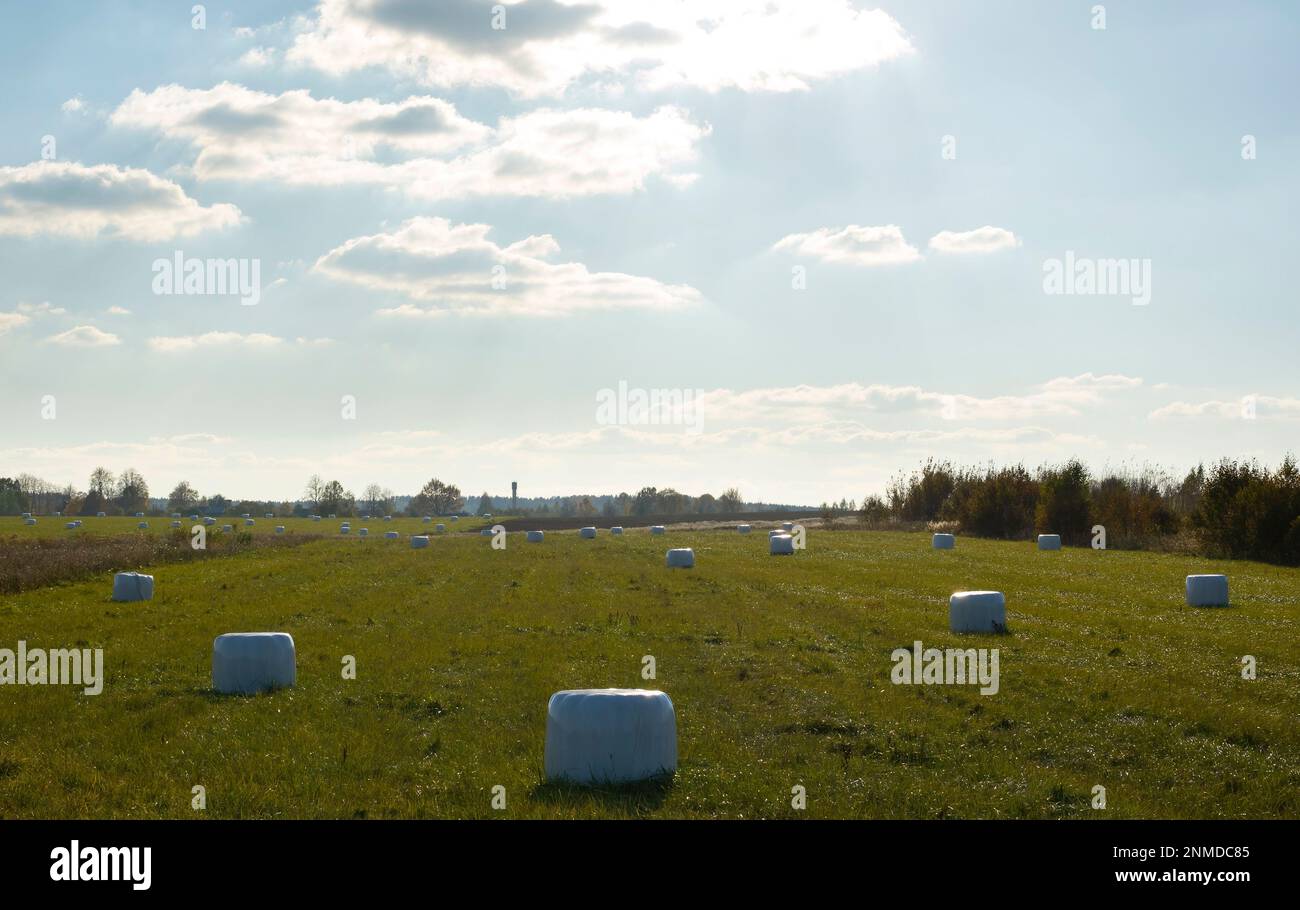 Haystacks field sun hi-res stock photography and images - Alamy