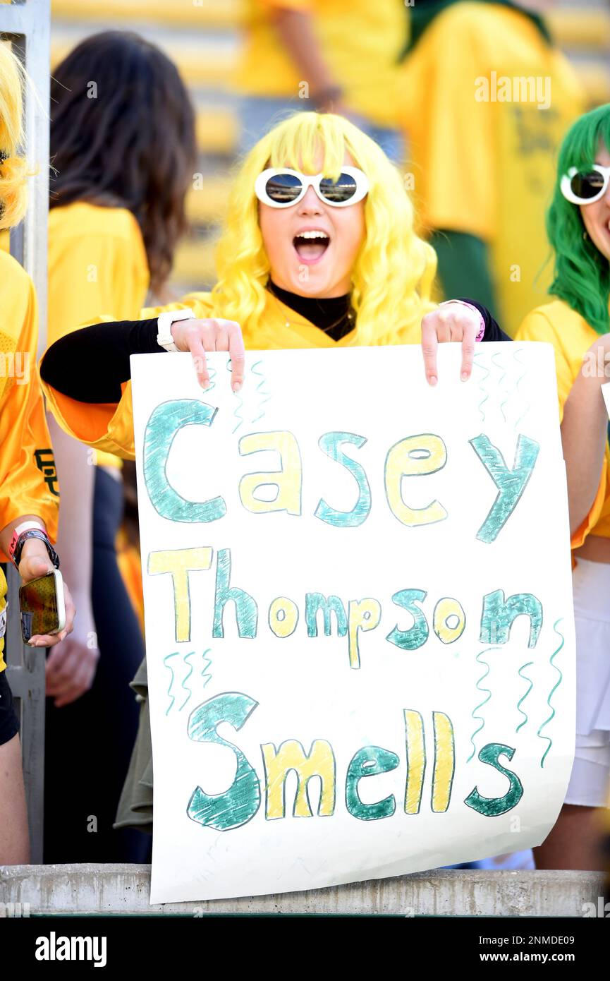 WACO, TX - OCTOBER 30: A Baylor Bears fan cheers during game between ...