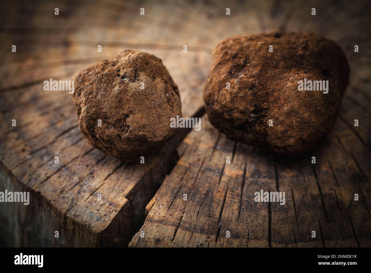 Delicate and rare black truffle mushroom typical Italian food Stock ...