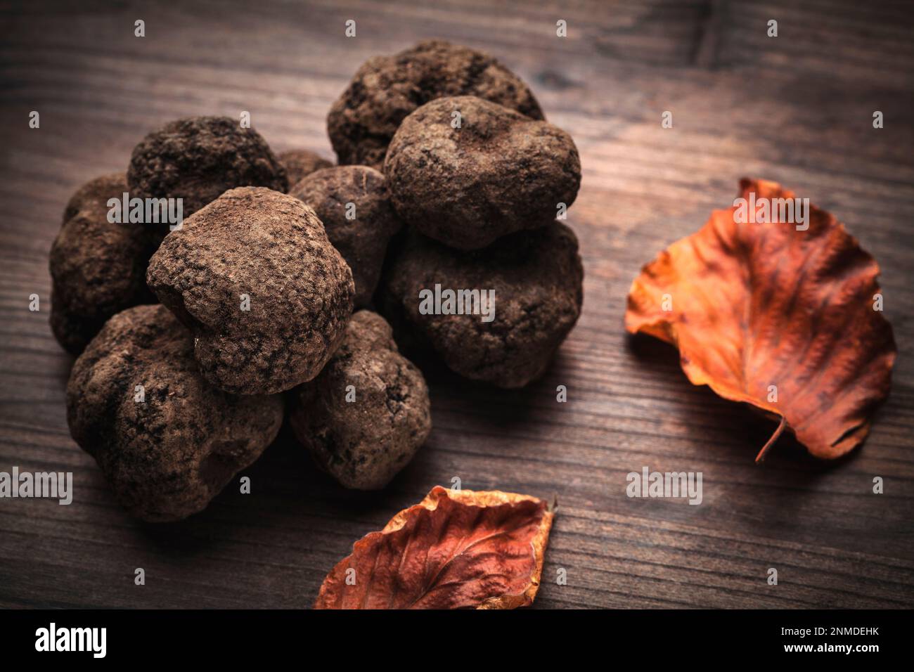 Delicate and rare black truffle mushroom typical Italian food Stock ...