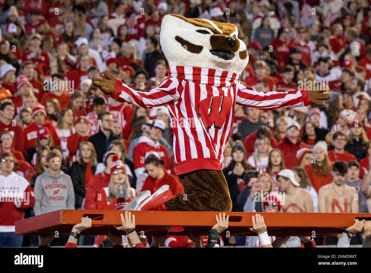 Wisconsin Badgers mascot Bucky Badger prepares to do pushups after a ...