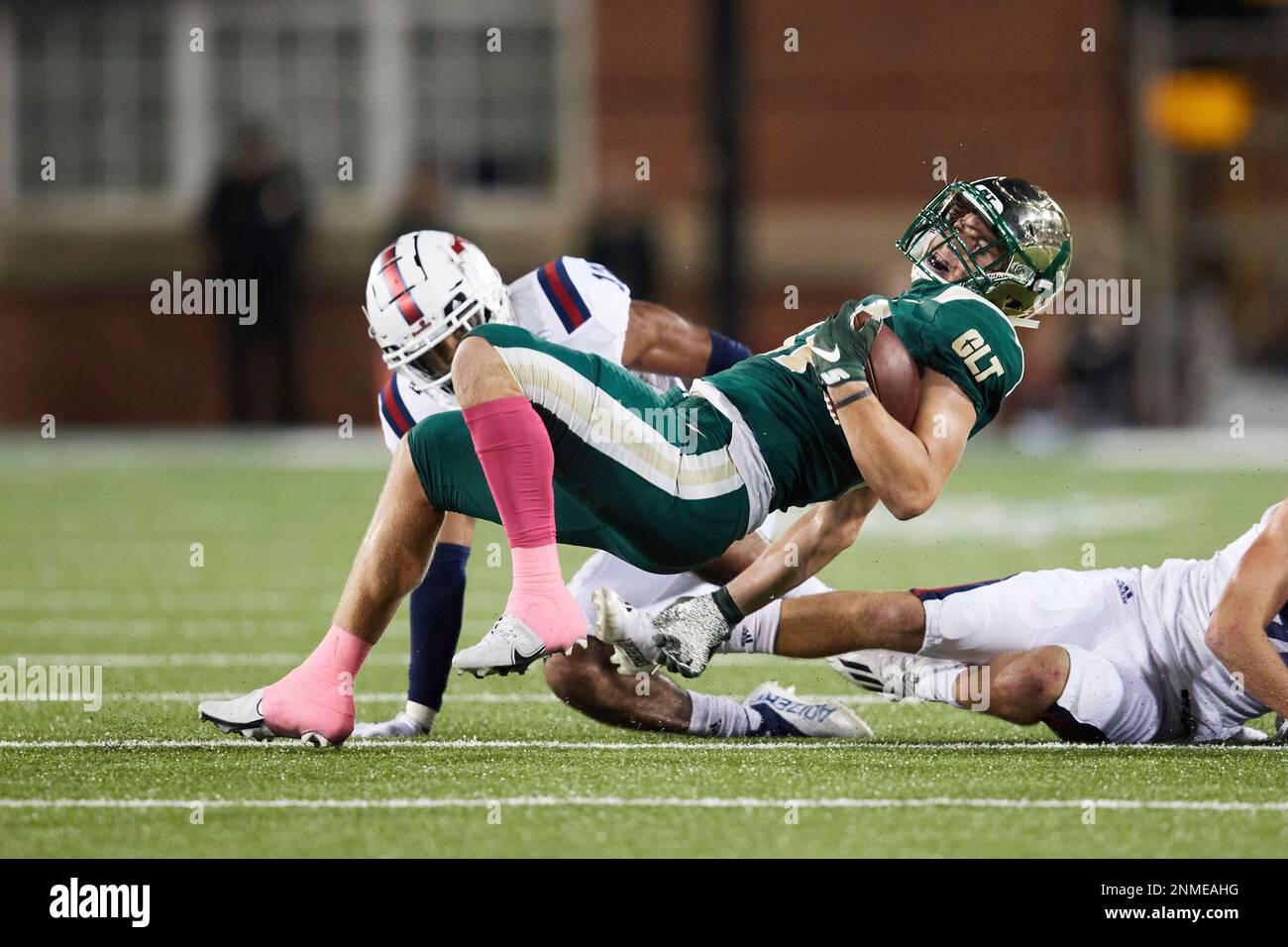 Charlotte 49ers tight end Taylor Thompson (11) falls forward for extra ...