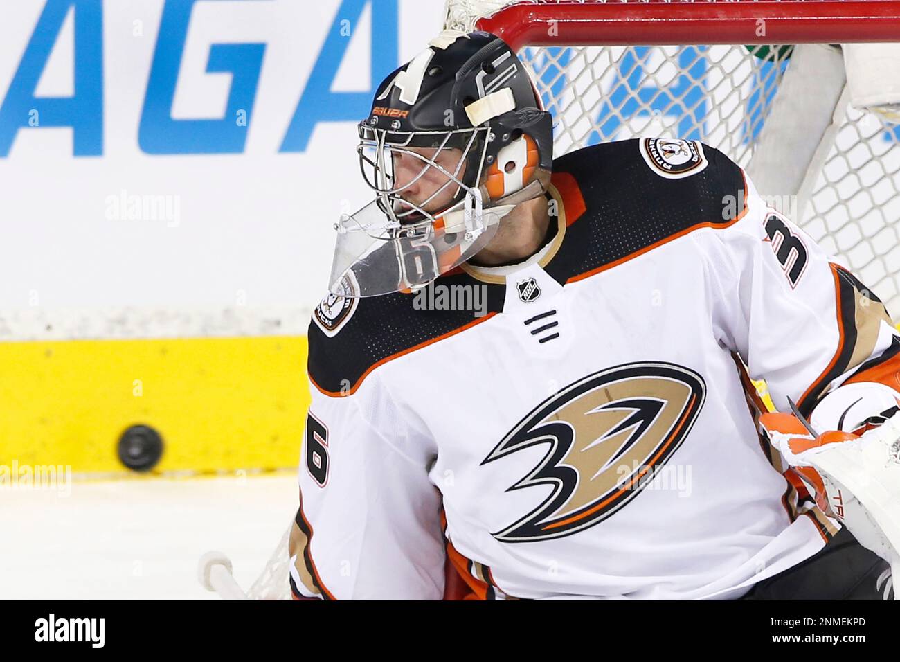 NHL profile photo on Anaheim Ducks goalie John Gibson at a game against ...