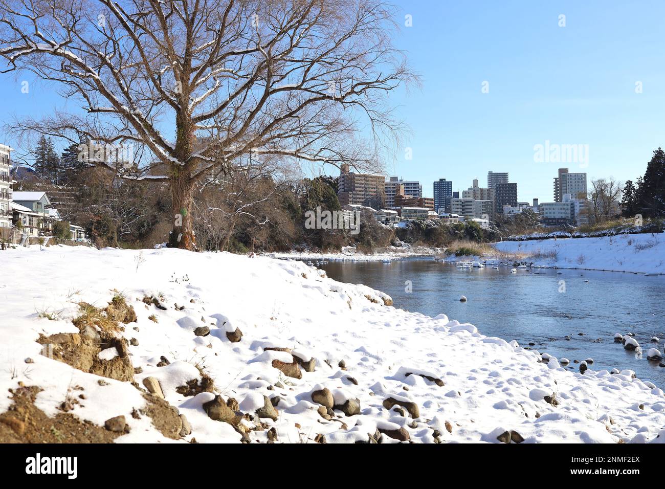 Sendai, Miyagi, Japan, February 2023.Snow scene around the Hirose River ...