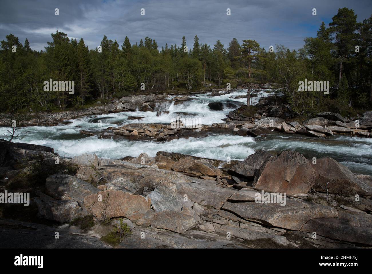 Saltelva rapid in Saltdal community in Nordland Province in Norway ...
