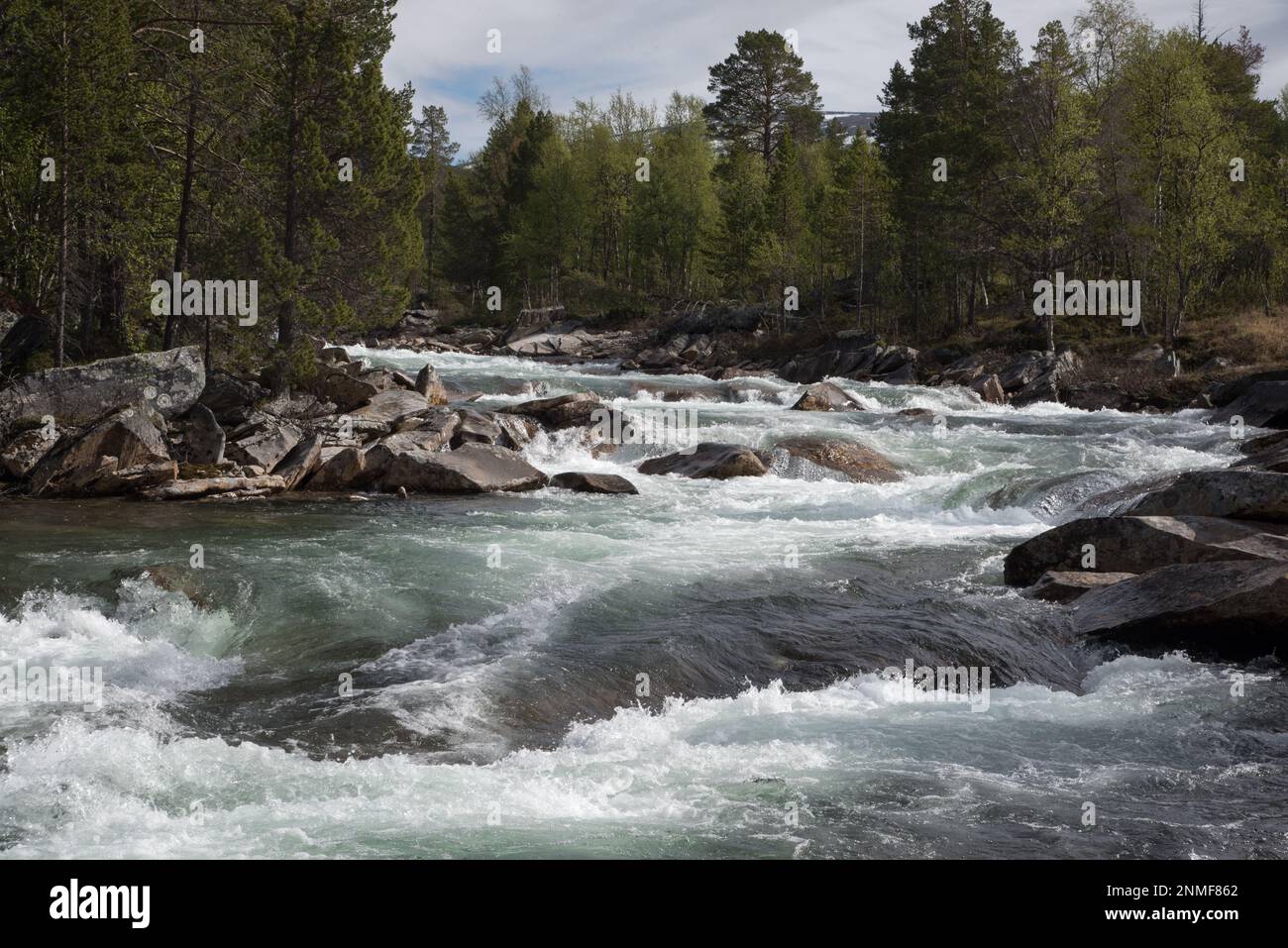 Saltelva fluss hi-res stock photography and images - Alamy