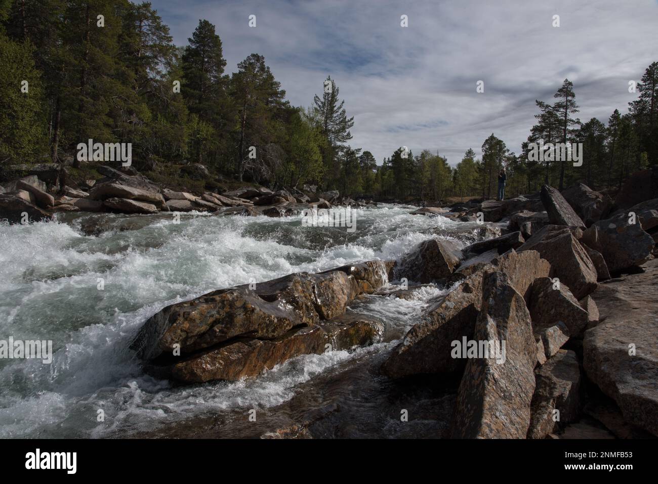 Saltdal river hi-res stock photography and images - Alamy