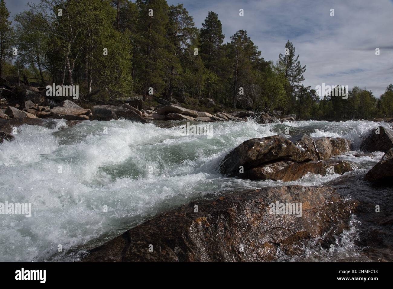 Saltelva rapid in Saltdal community in Nordland Province in Norway ...