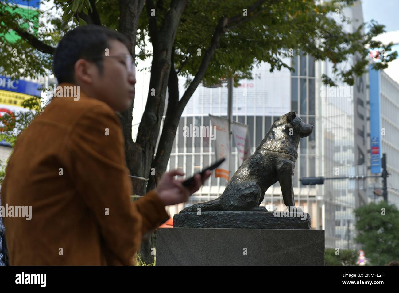 A picture shows a statue of Chuken Hachiko (Hachi the loyal dog) near ...