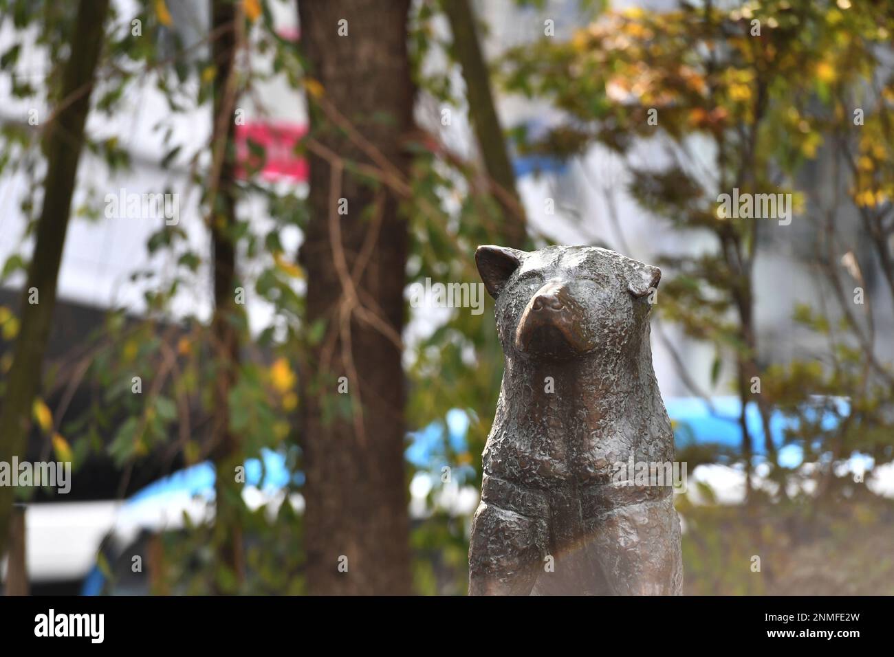 A picture shows a statue of Chuken Hachiko (Hachi the loyal dog) near ...