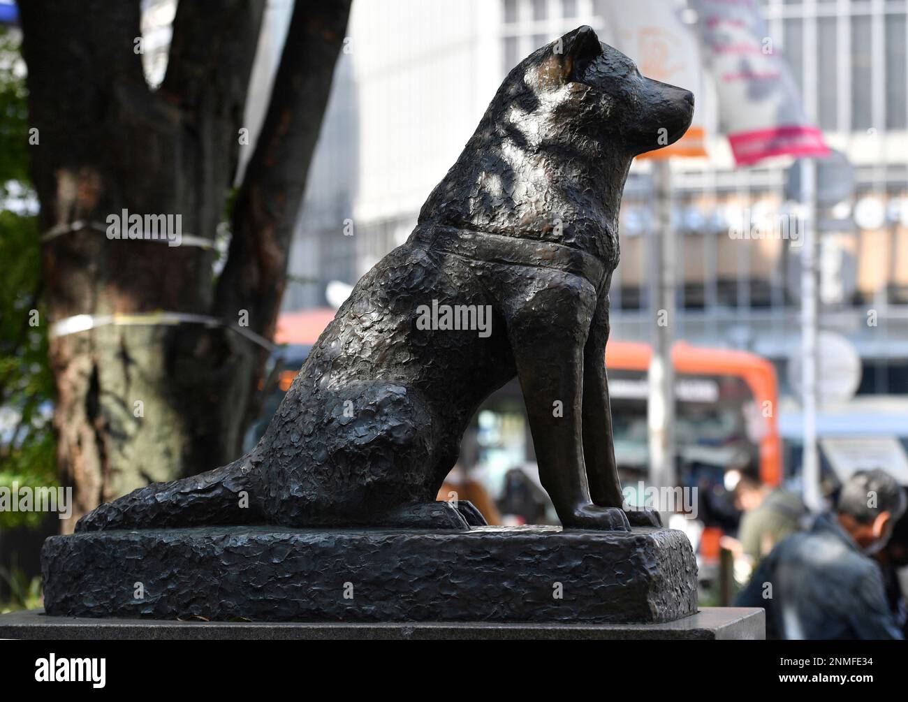 Loyal Dog Hachiko