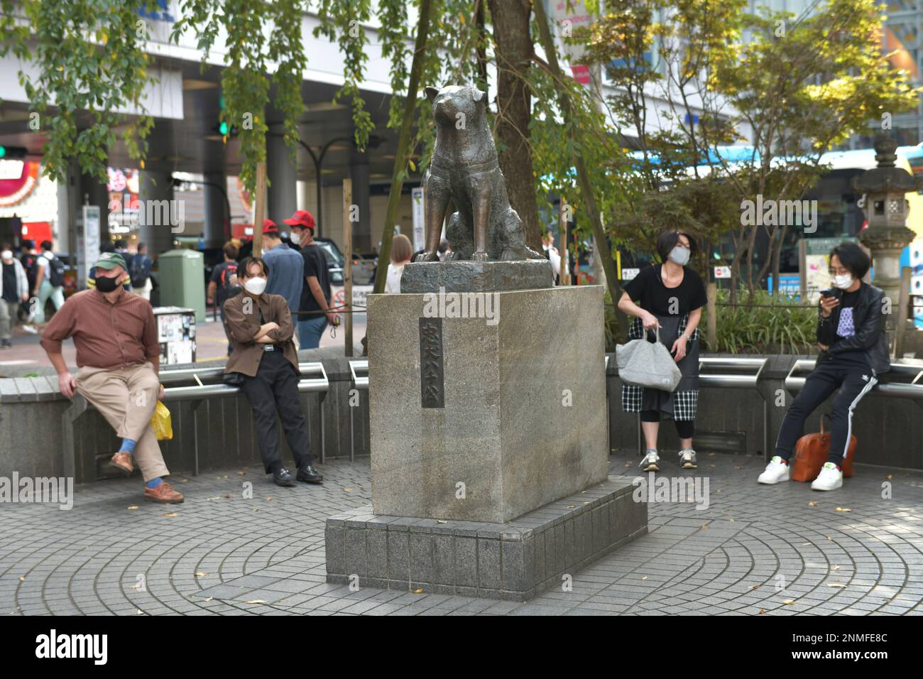 A picture shows a statue of Chuken Hachiko (Hachi the loyal dog) near ...