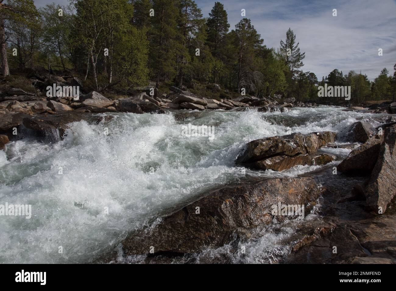 Saltelva rapid in Saltdal community in Nordland Province in Norway ...