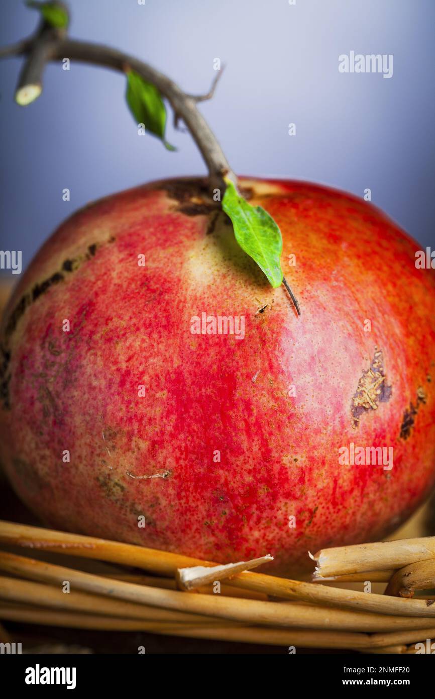 Pomegranate wood leaf not table hi-res stock photography and images - Alamy