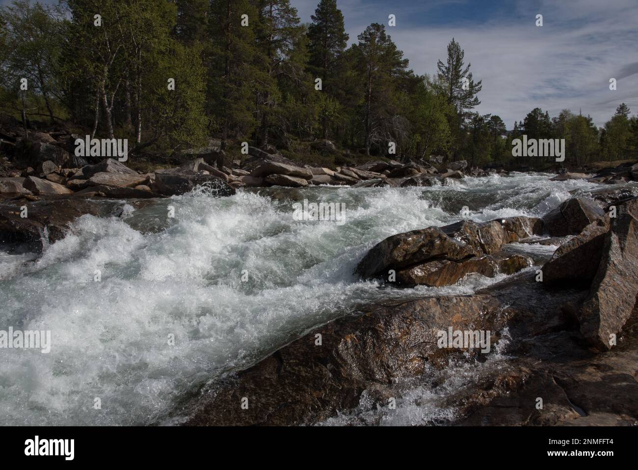 Saltelva rapid in Saltdal community in Nordland Province in Norway ...