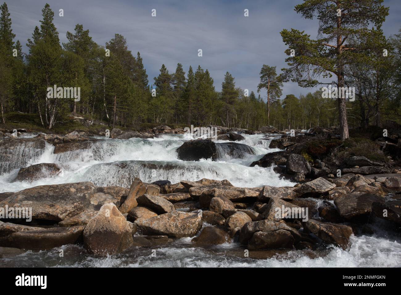 Saltelva rapid in Saltdal community in Nordland Province in Norway ...