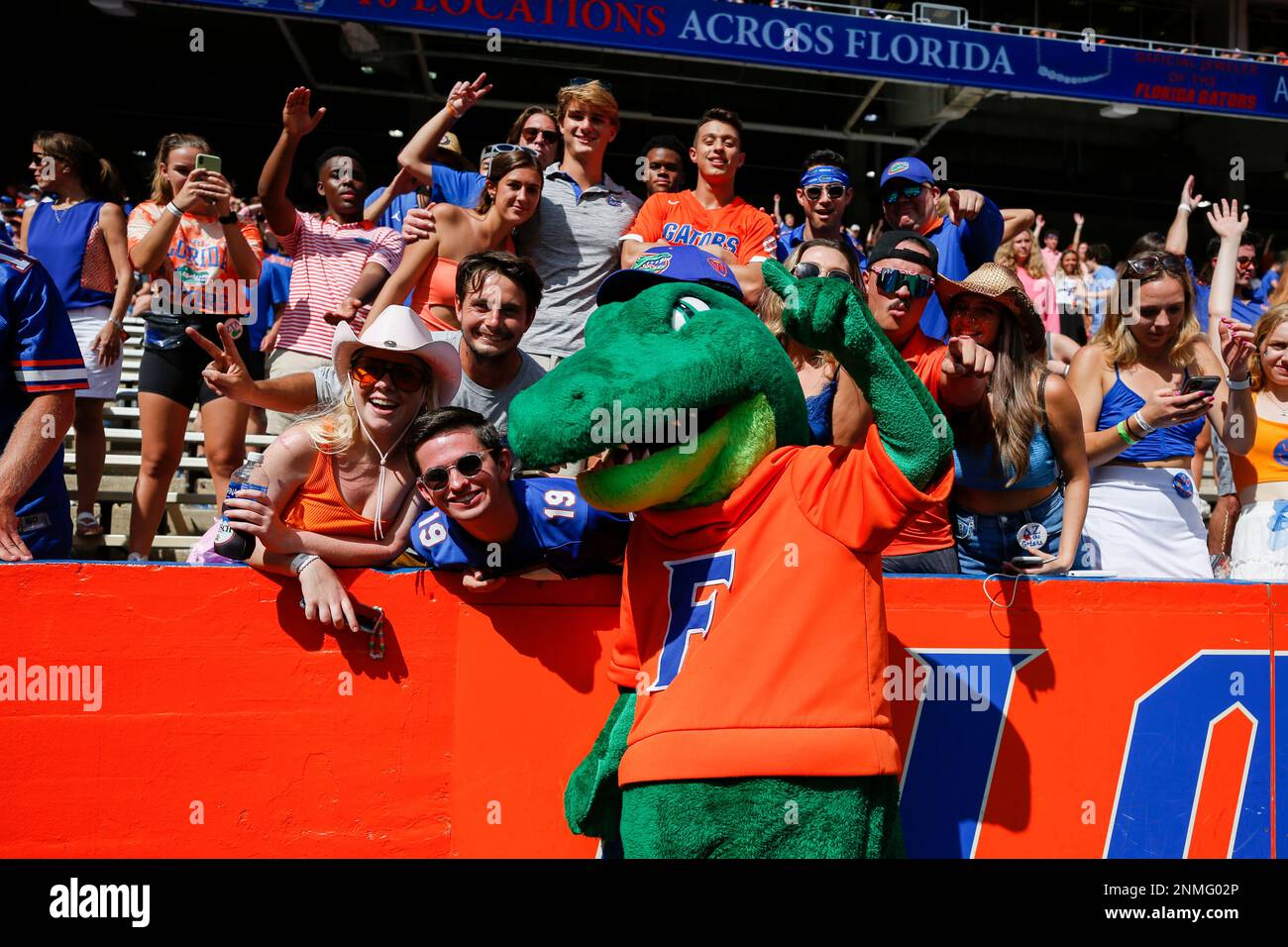 GAINESVILLE, FL - OCTOBER 09: Albert, the Florida Gators mascot, poses ...