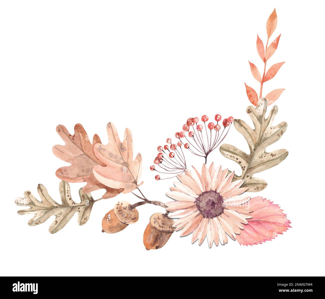 Autumn composition in watercolour with leaves and flowers for the ...