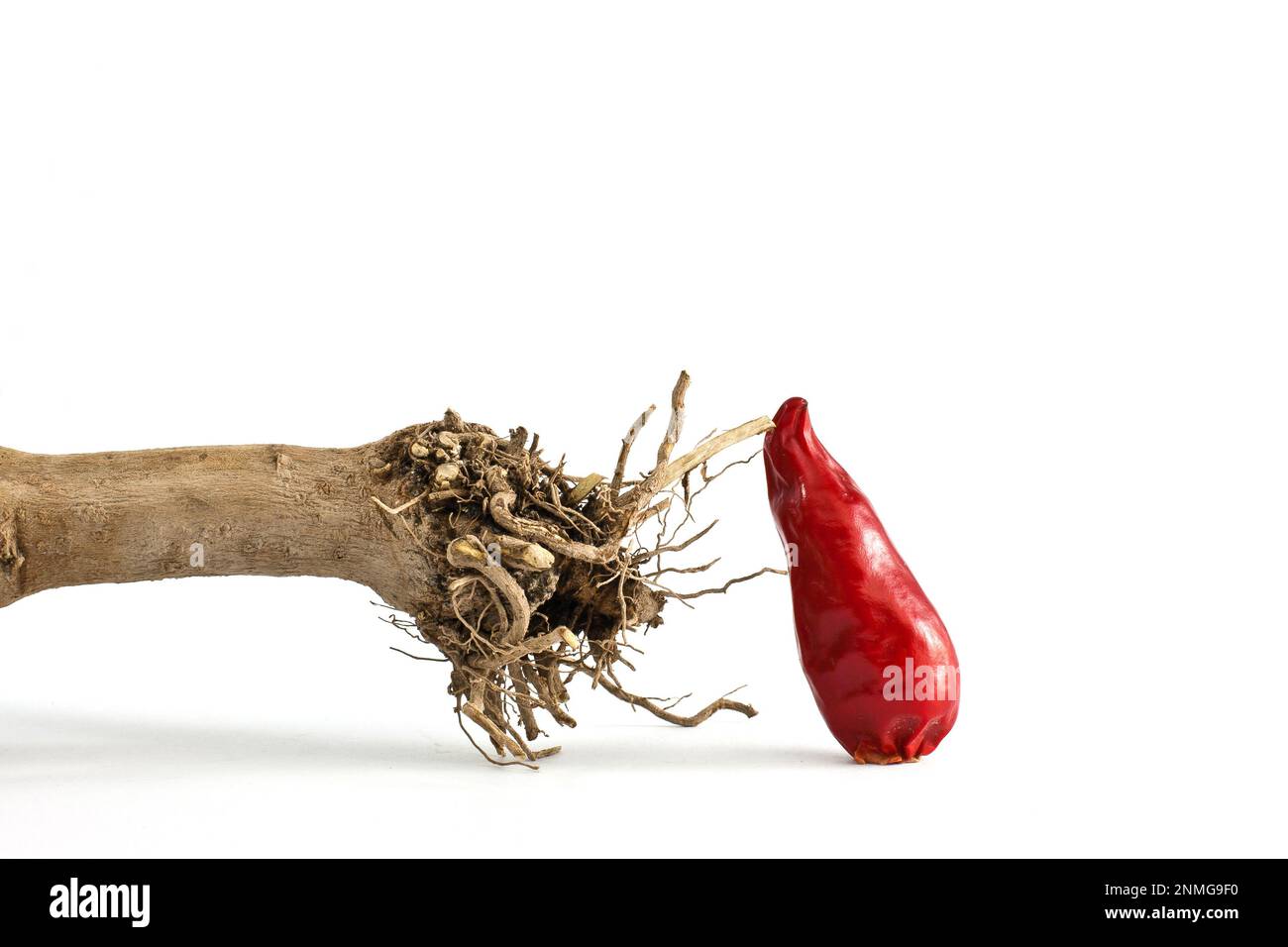 Group of red chili peppers on stem isolated on white Stock Photo - Alamy