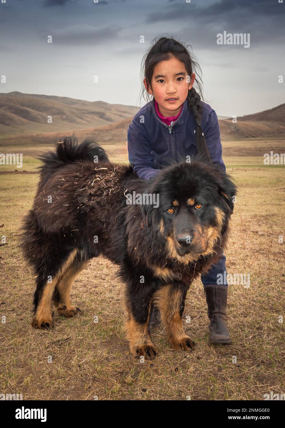 Beauty and the Beast. Bulgan Province, Mongolia Stock Photo - Alamy