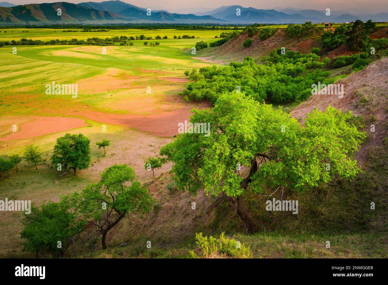 Nature in summer is so beautiful and colourful in Bulgan Province ...