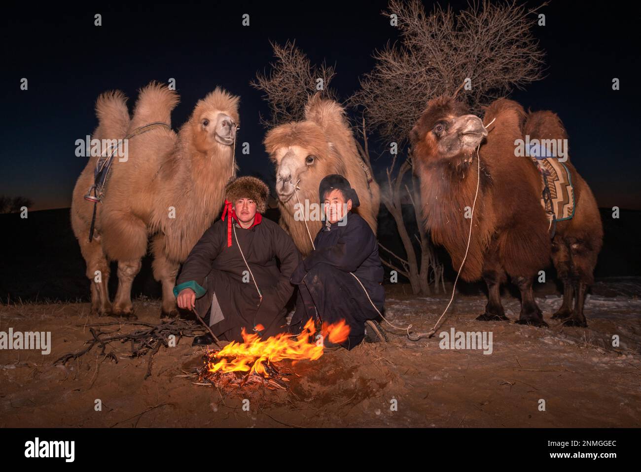 Meeting place for nomad friends. Bulgan Province, Mongolia Stock Photo ...