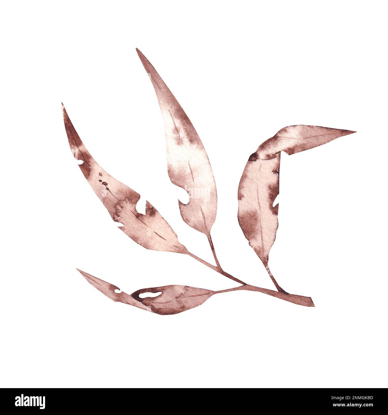 Leaf imprint on white Cut Out Stock Images & Pictures - Alamy