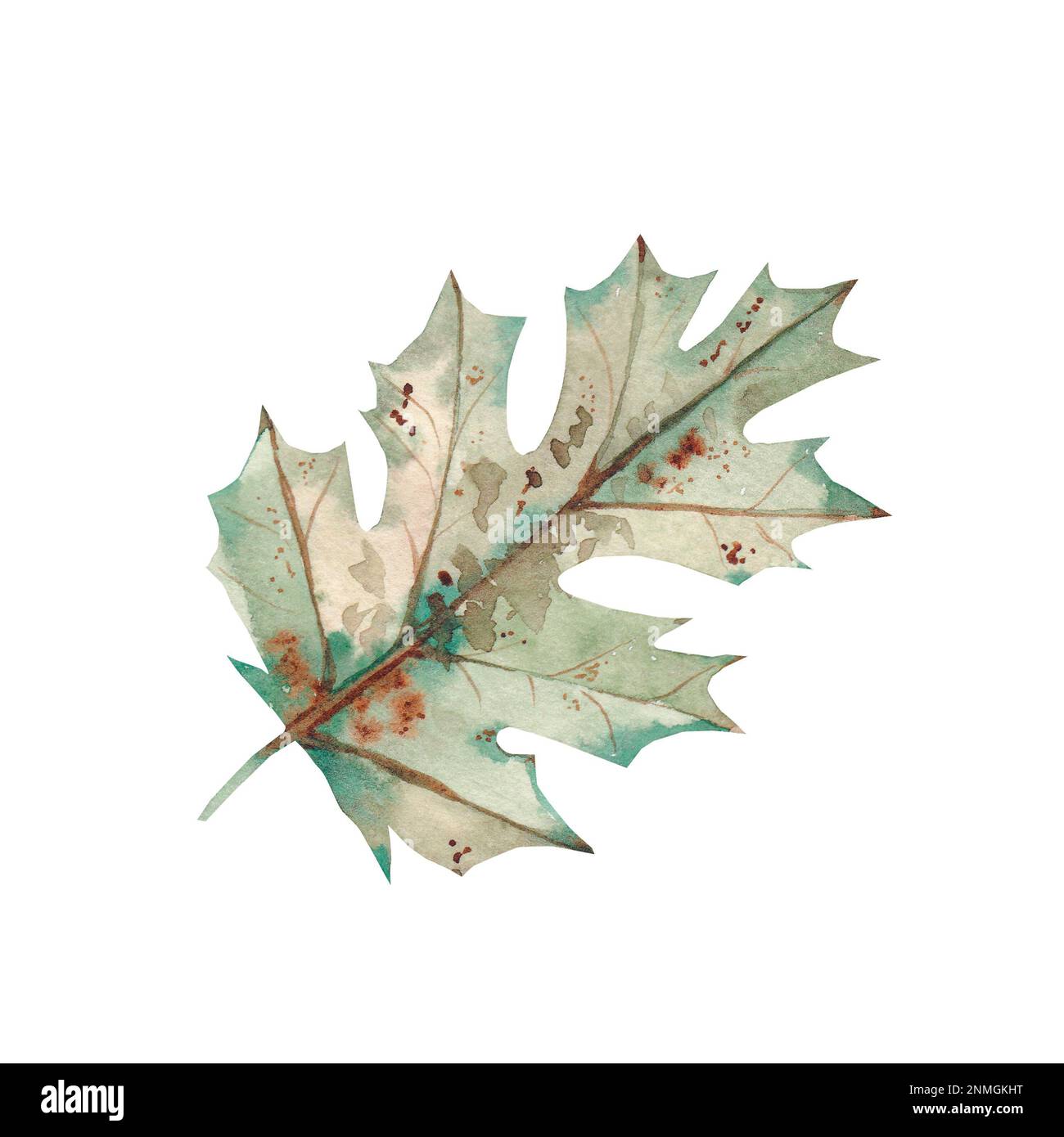 Leaf imprint on white Cut Out Stock Images & Pictures - Alamy