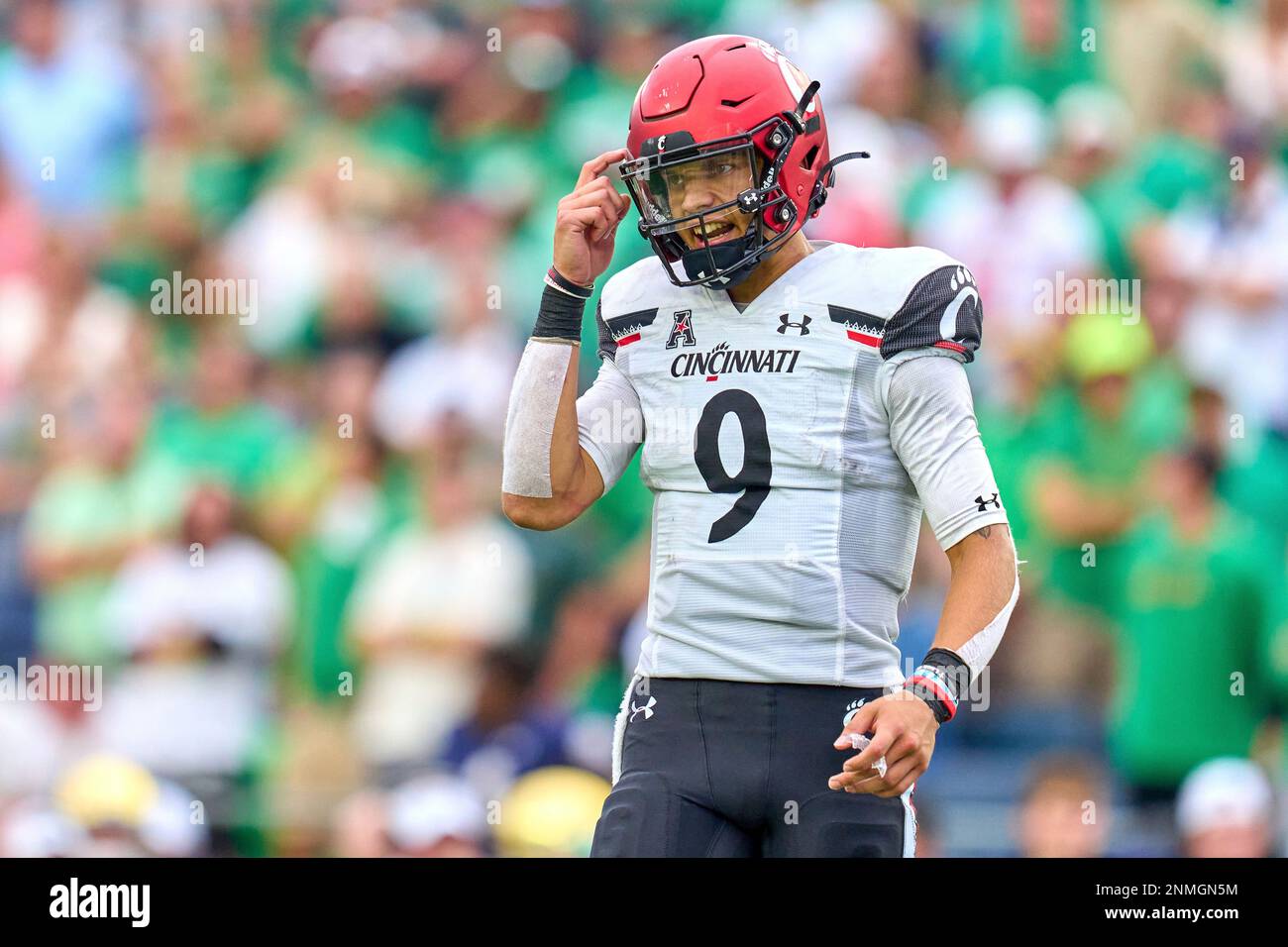 SOUTH BEND, IN - OCTOBER 02: Cincinnati Bearcats quarterback Desmond ...