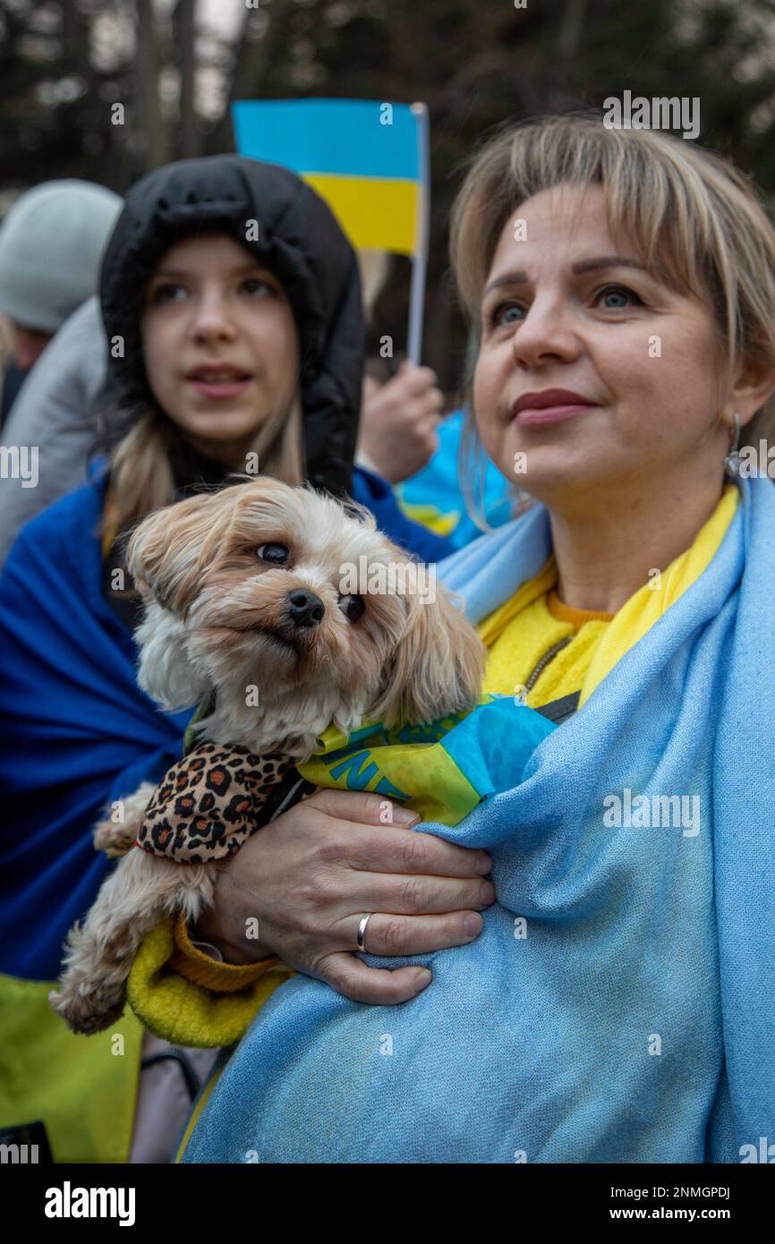 Ukrainian lives hi-res stock photography and images - Alamy