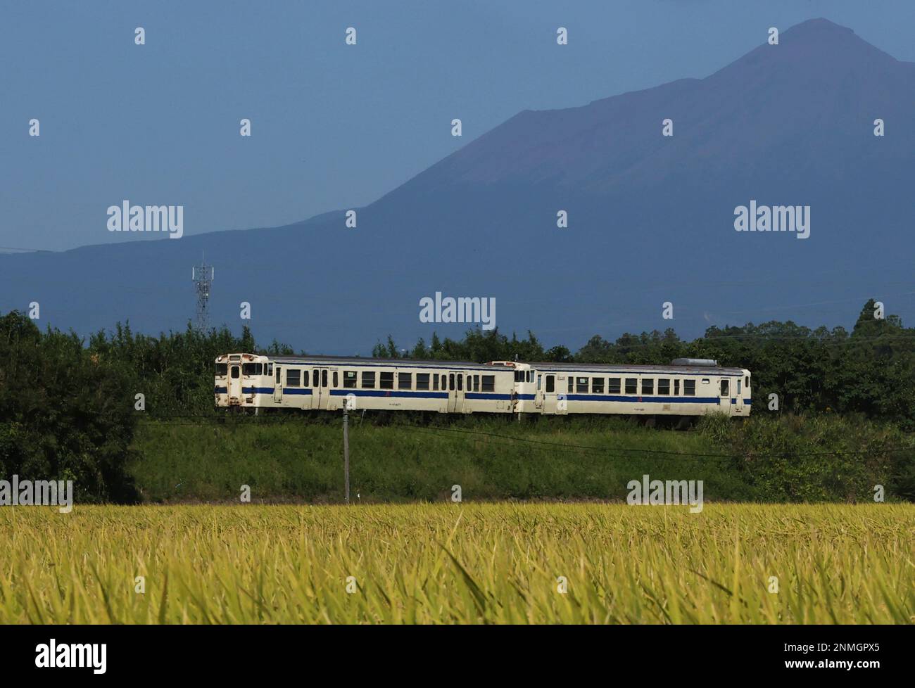 A picture shows the train of the Kitto Line operated by Kyushu Railway ...