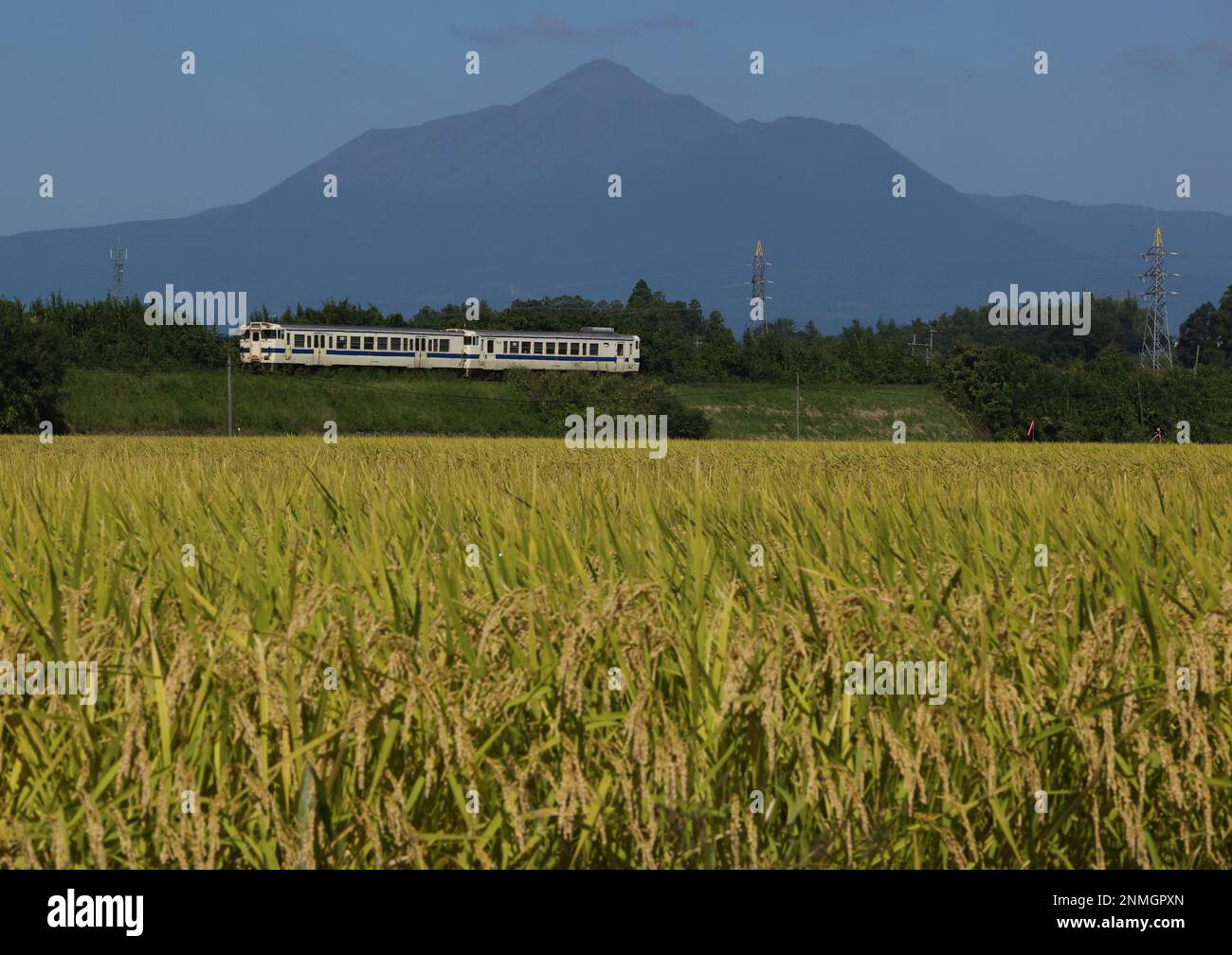 A picture shows the train of the Kitto Line operated by Kyushu Railway ...