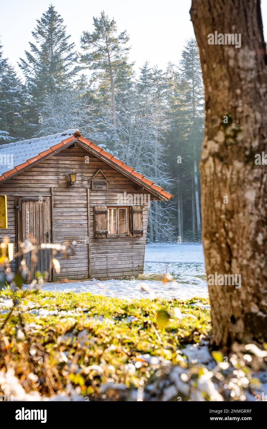 Wooden hut in the forest, Schoemberg, Black Forest, Germany Stock Photo ...