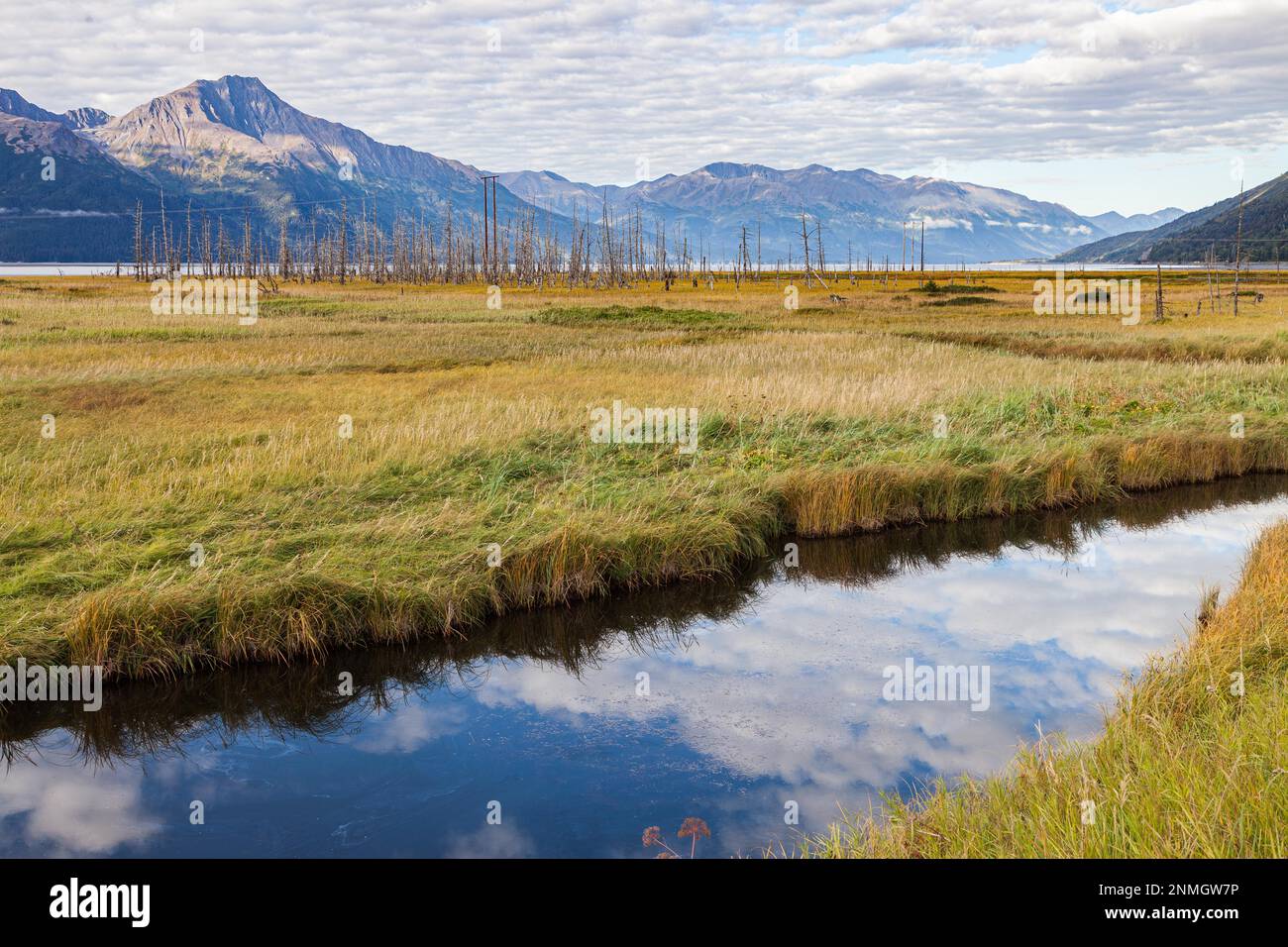 Swampy landscape alaska hi-res stock photography and images - Alamy