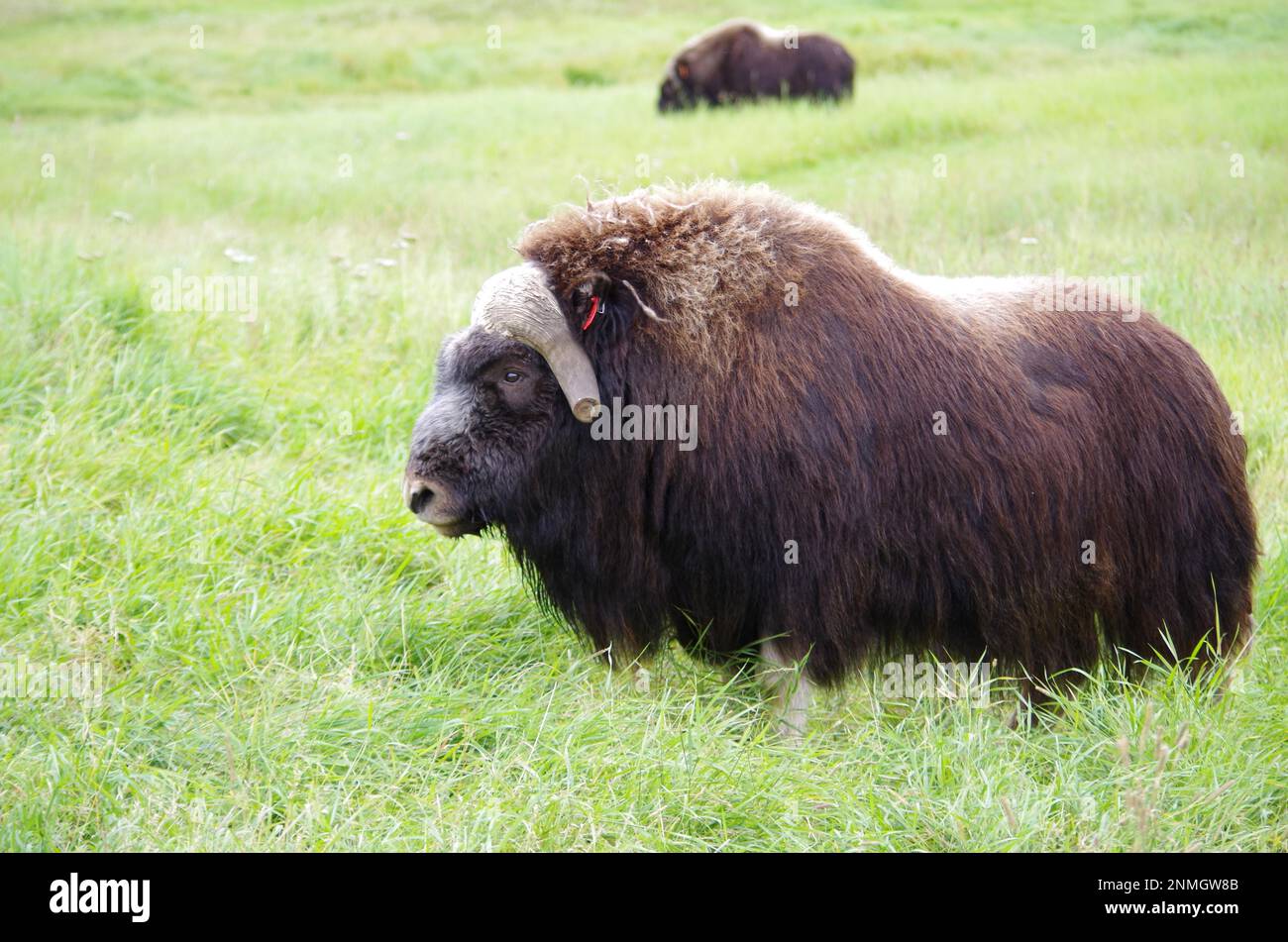 Anchorage america hi-res stock photography and images - Alamy