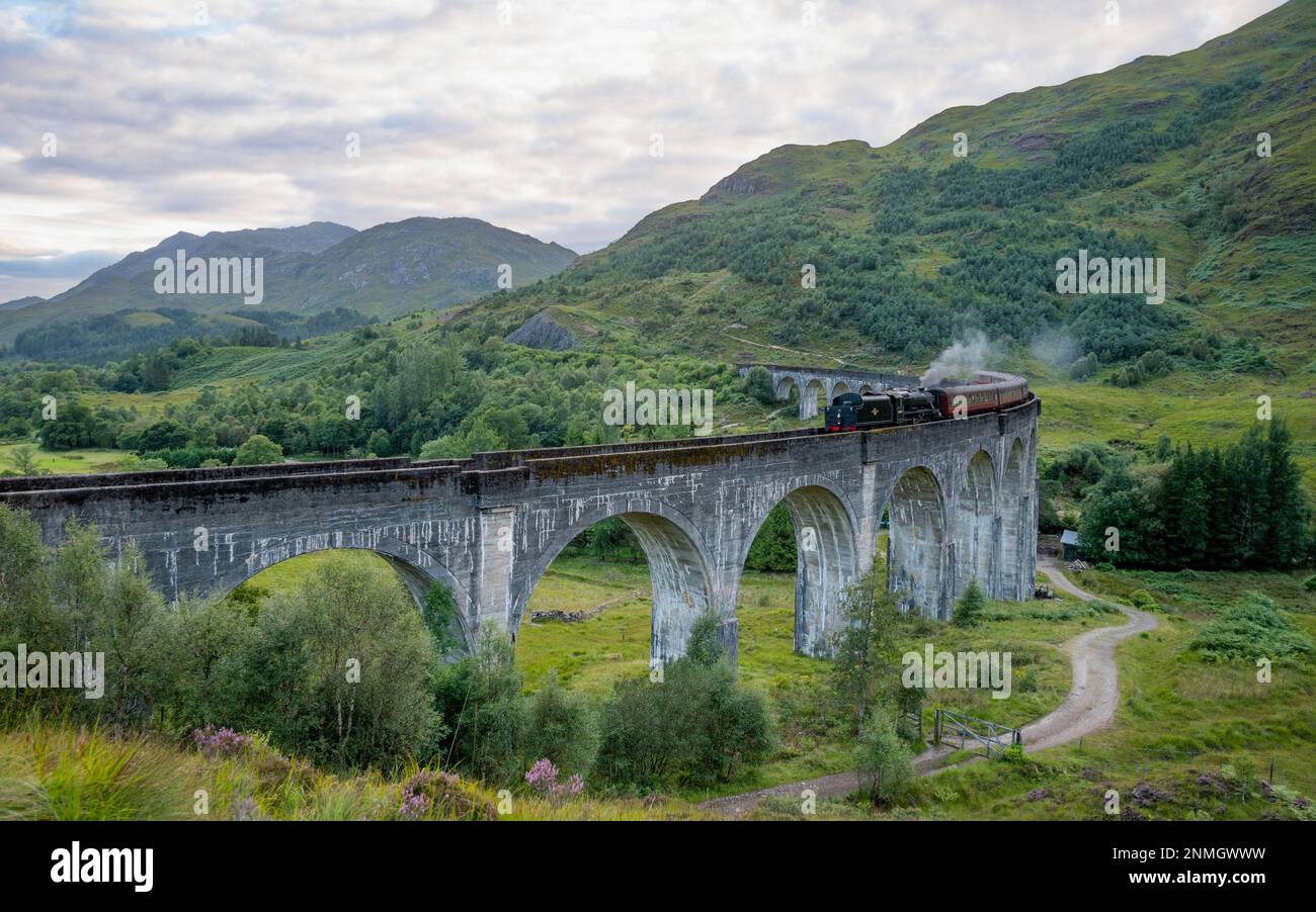 Glenfinnan Viaduct with Steam Locomotive, Jacobin Express, Harry Potter ...