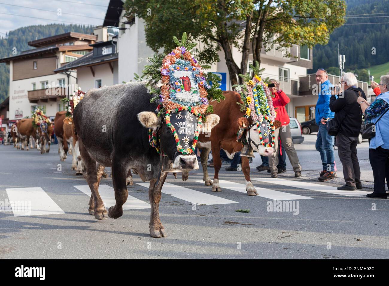 Almabtrieb austria hi-res stock photography and images - Alamy