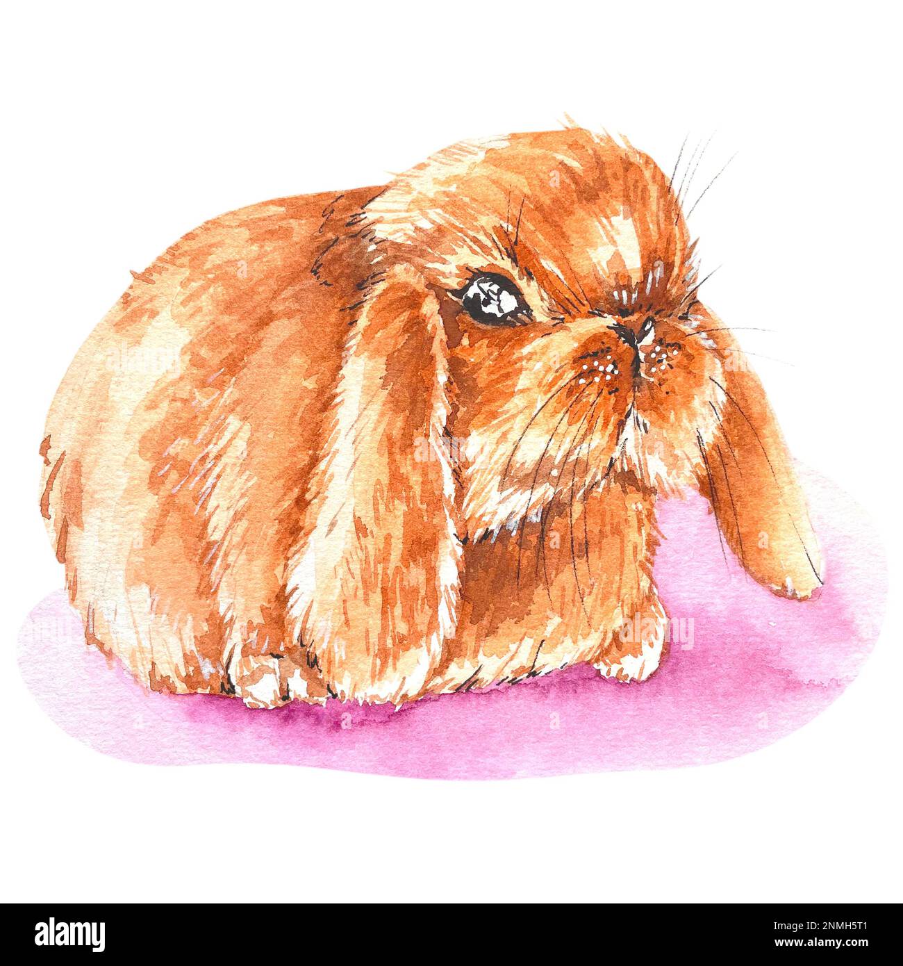 Watercolor red rabbit on a white background for product design Stock ...