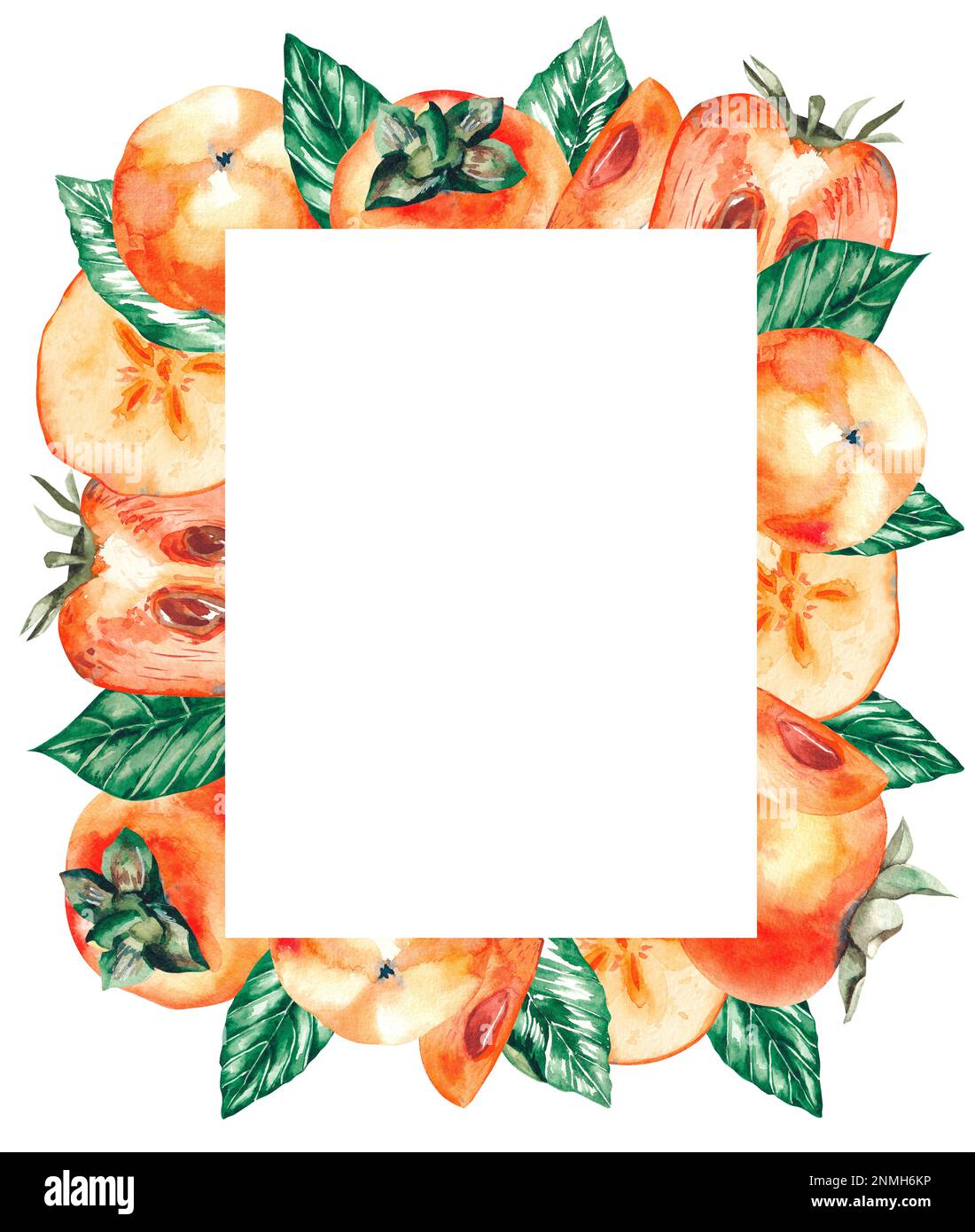 Watercolor square frame with persimmon and leaves for the design of ...