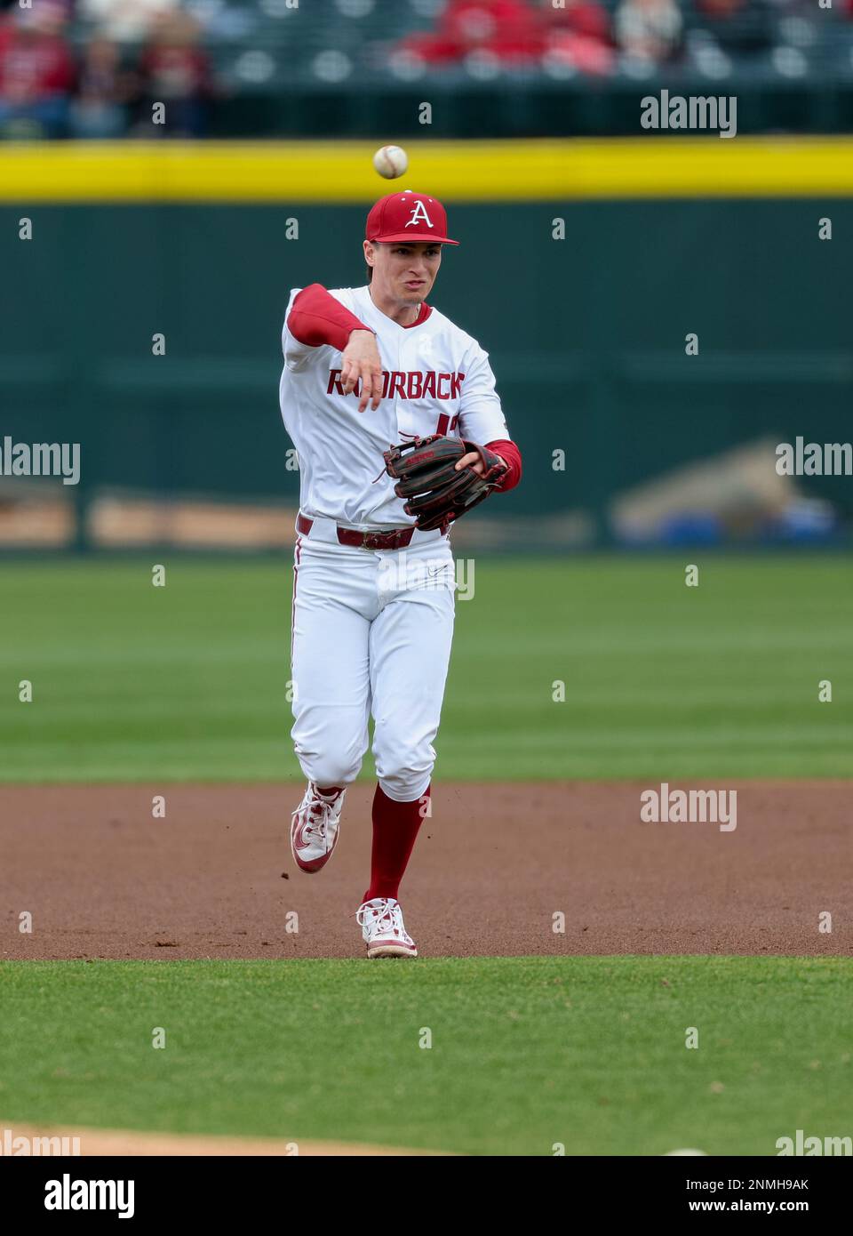 Arkansas razorback baseball hi-res stock photography and images - Alamy