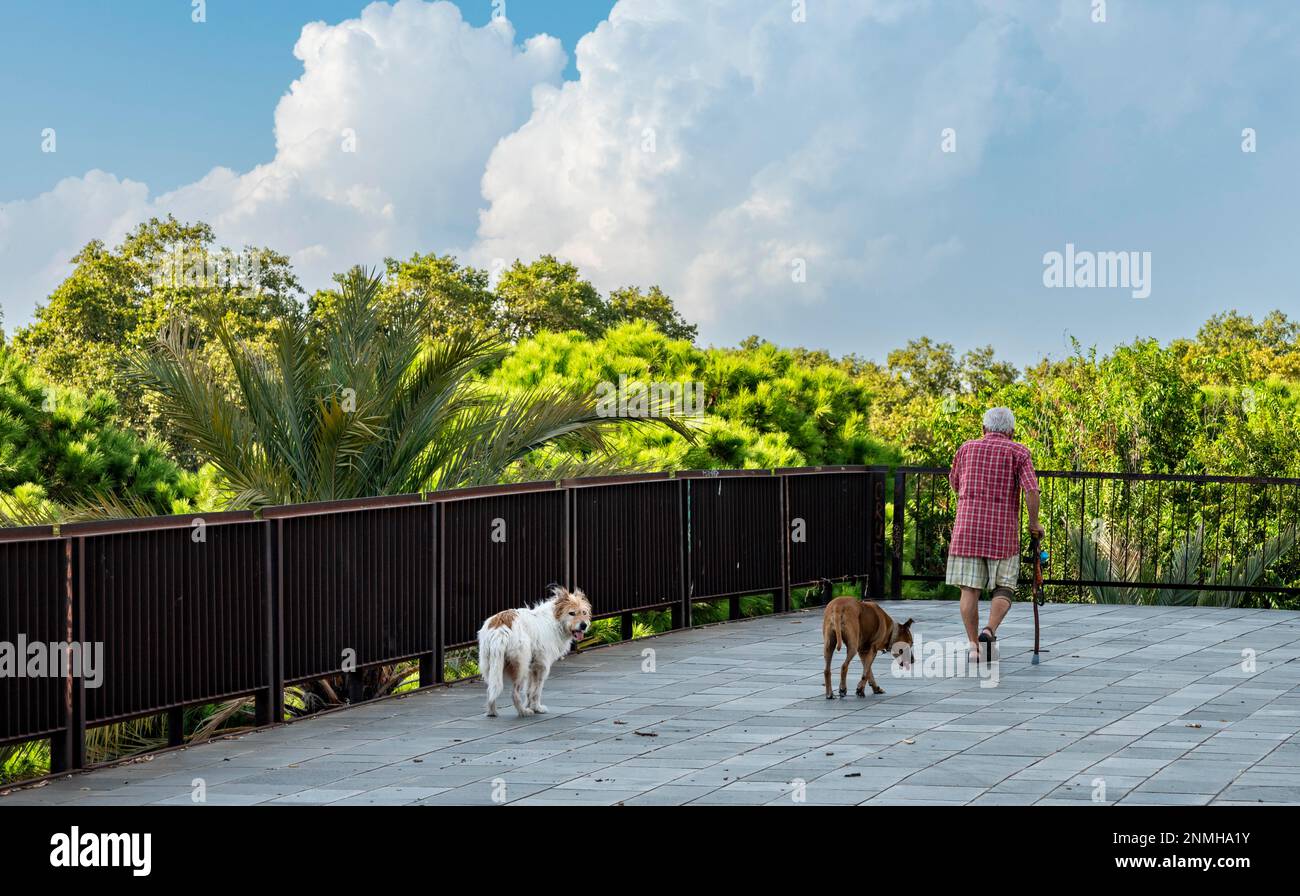 Old man with his dogs, Barcelona, Catalonia, Spain Stock Photo - Alamy