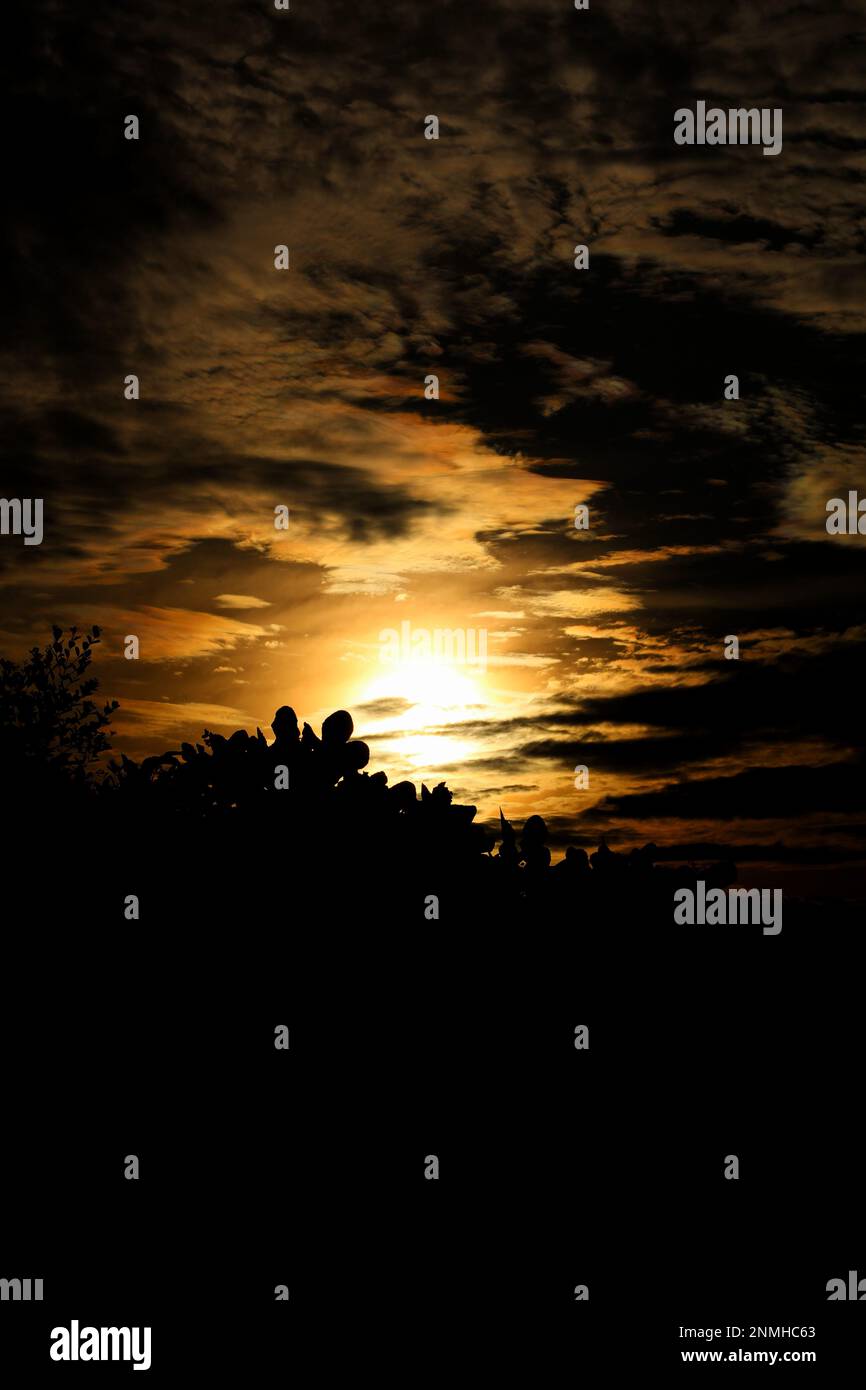 Many colors of sunset hi-res stock photography and images - Alamy