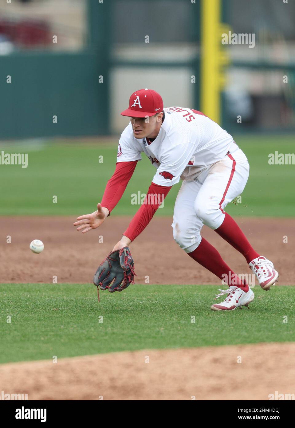Arkansas razorback baseball field hi-res stock photography and images ...