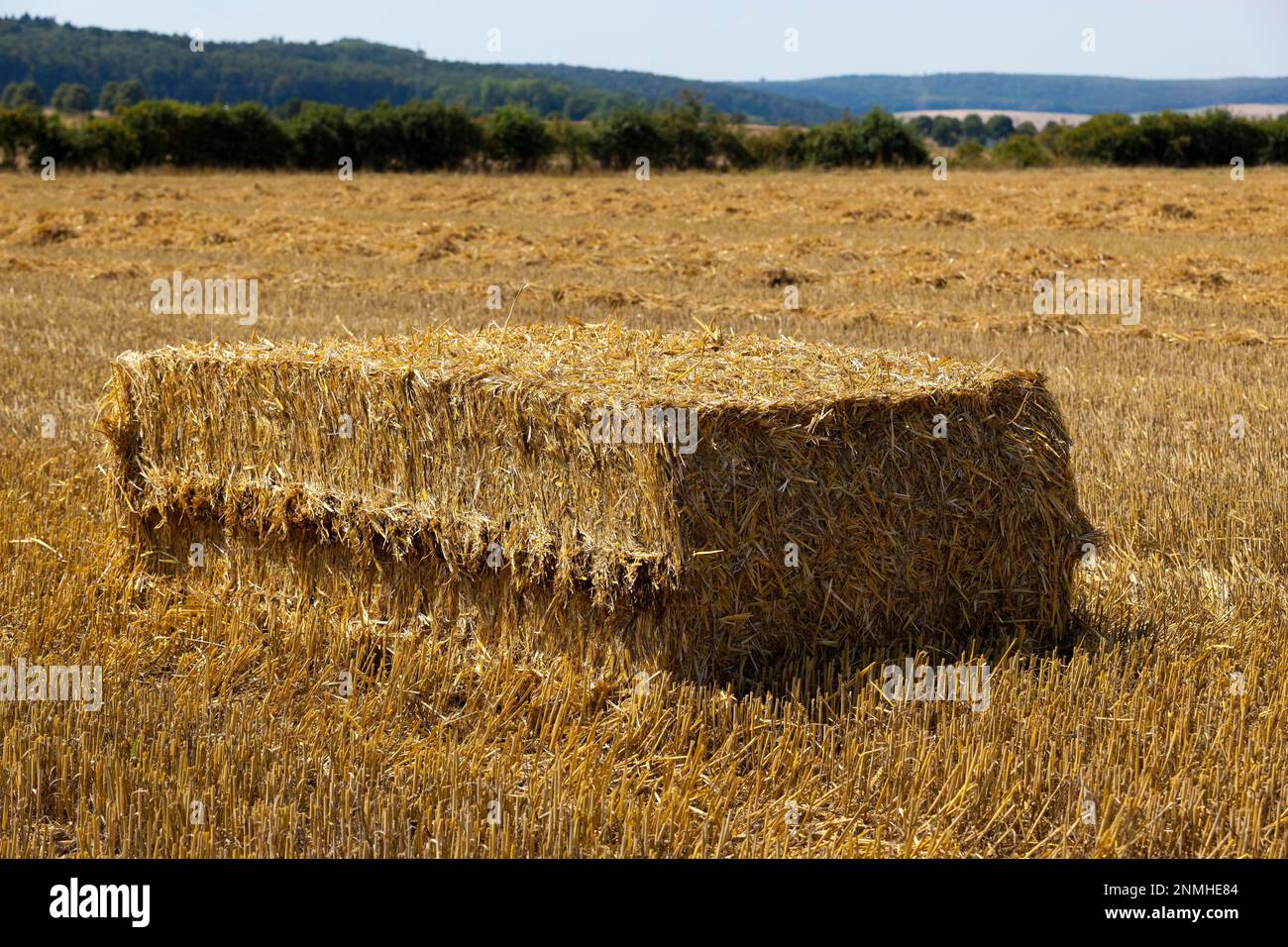 Pressed straw hi-res stock photography and images - Alamy