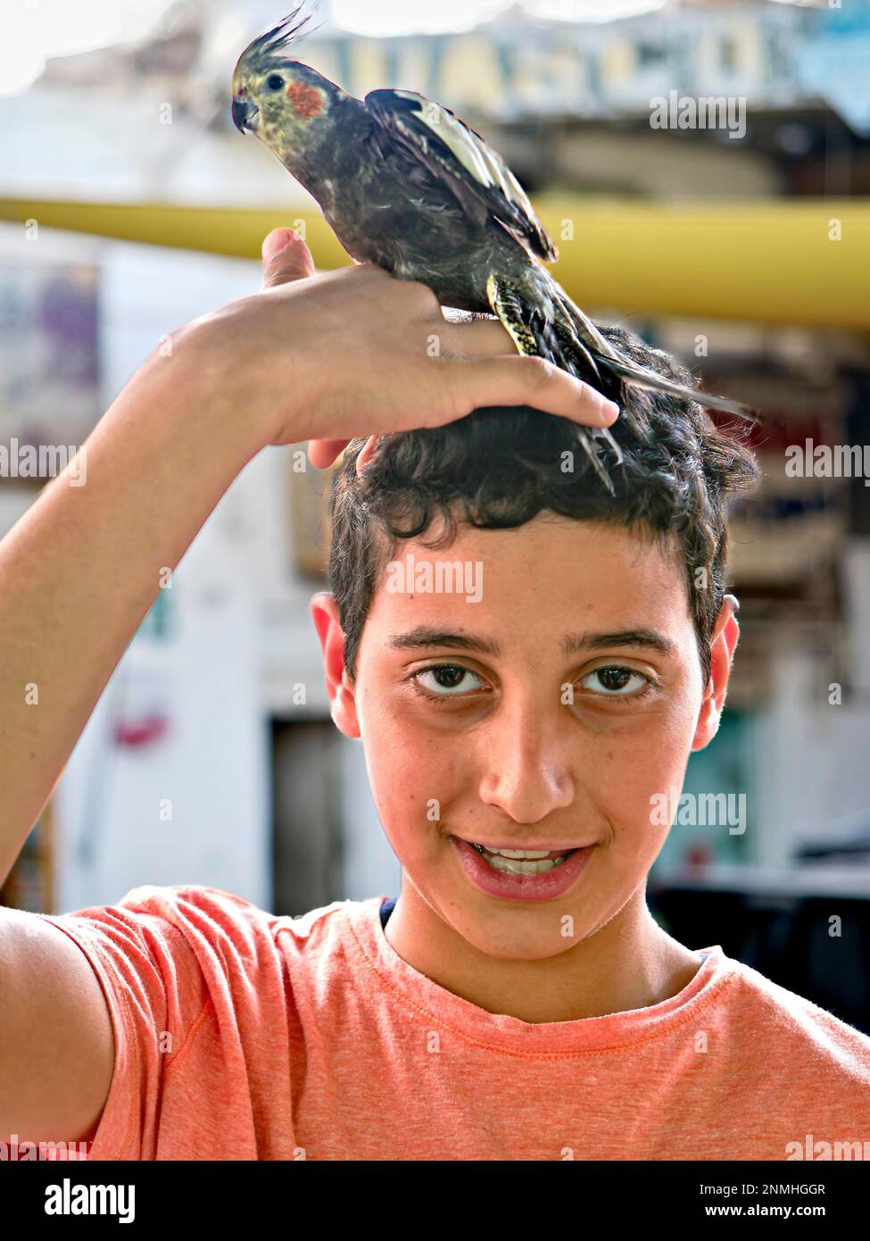Young man looking directly into the camera with parakeet on his head ... Young man looking directly into the camera with parakeet on his head ...