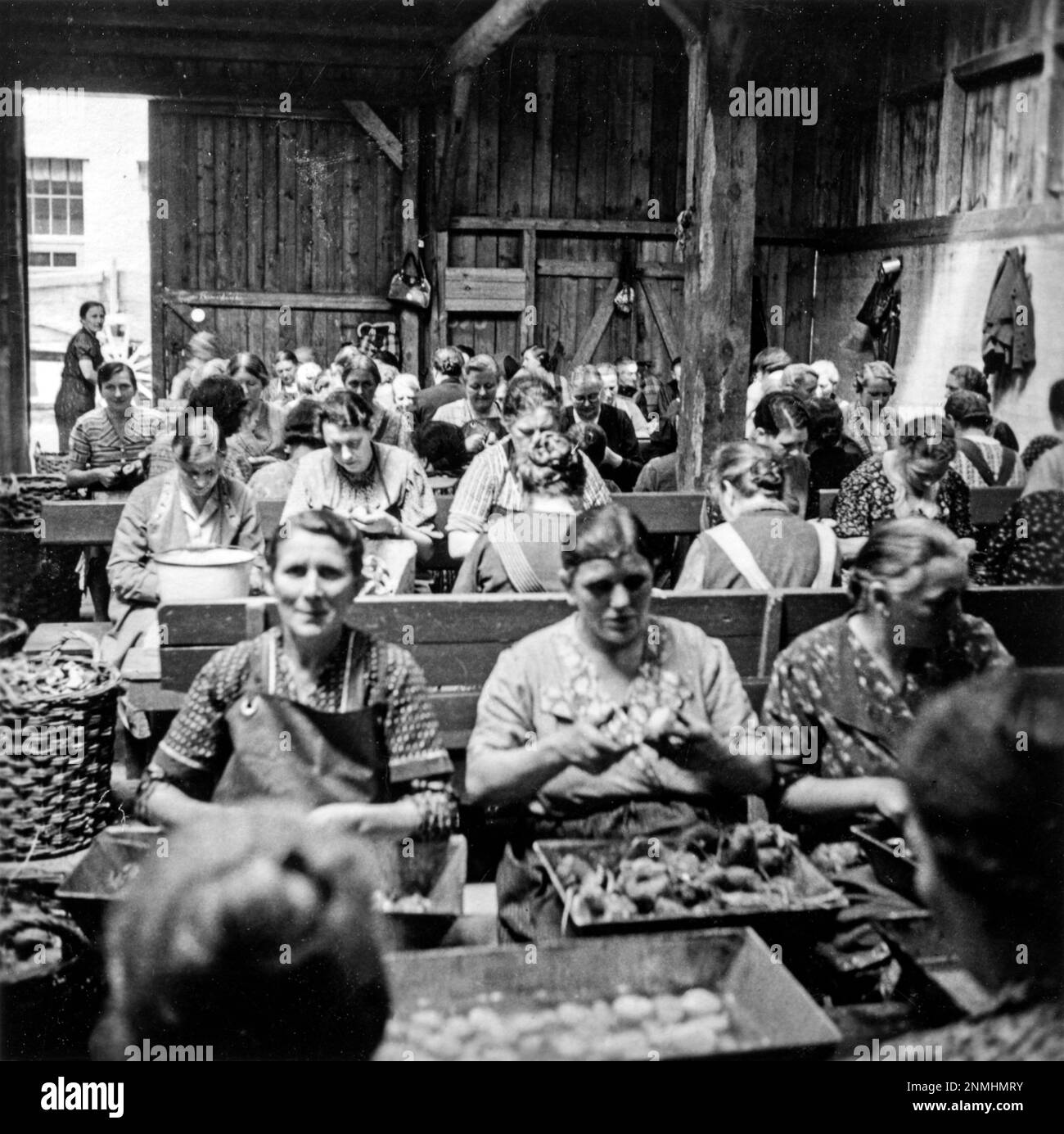 Woman house work 1930 hi-res stock photography and images - Alamy