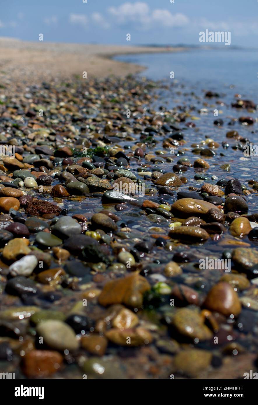 Cape Cod National Seashore polished beach stones Stock Photo - Alamy
