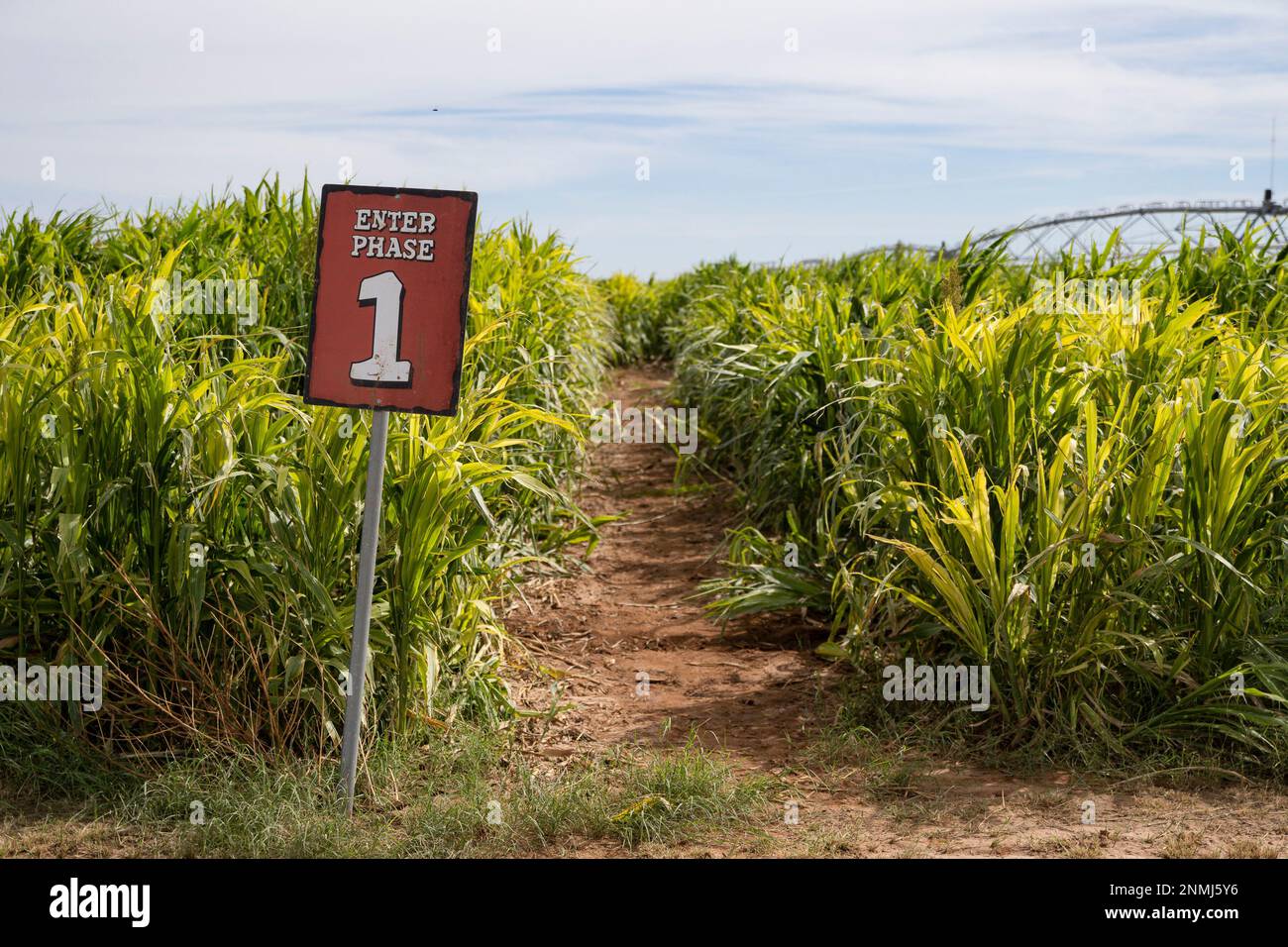 Fiddlesticks Farms in Midland, Texas officially began its fall season ...
