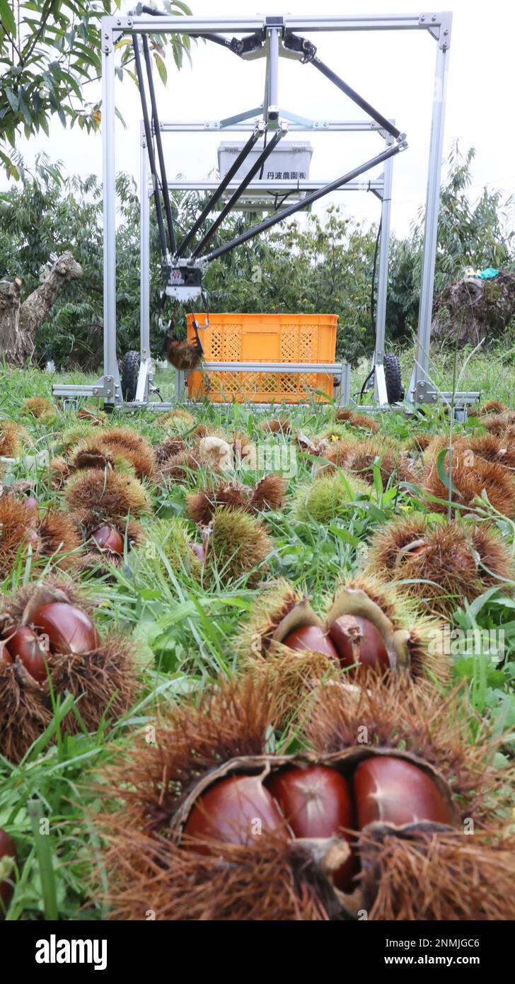 An automatic chestnut picking robot (Arm-l) using artificial ...