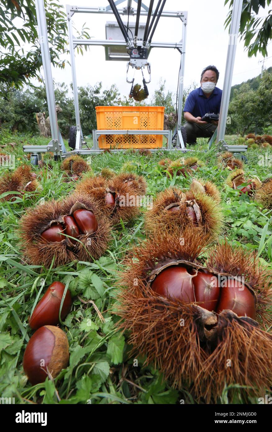 An automatic chestnut picking robot (Arm-l) using artificial ...